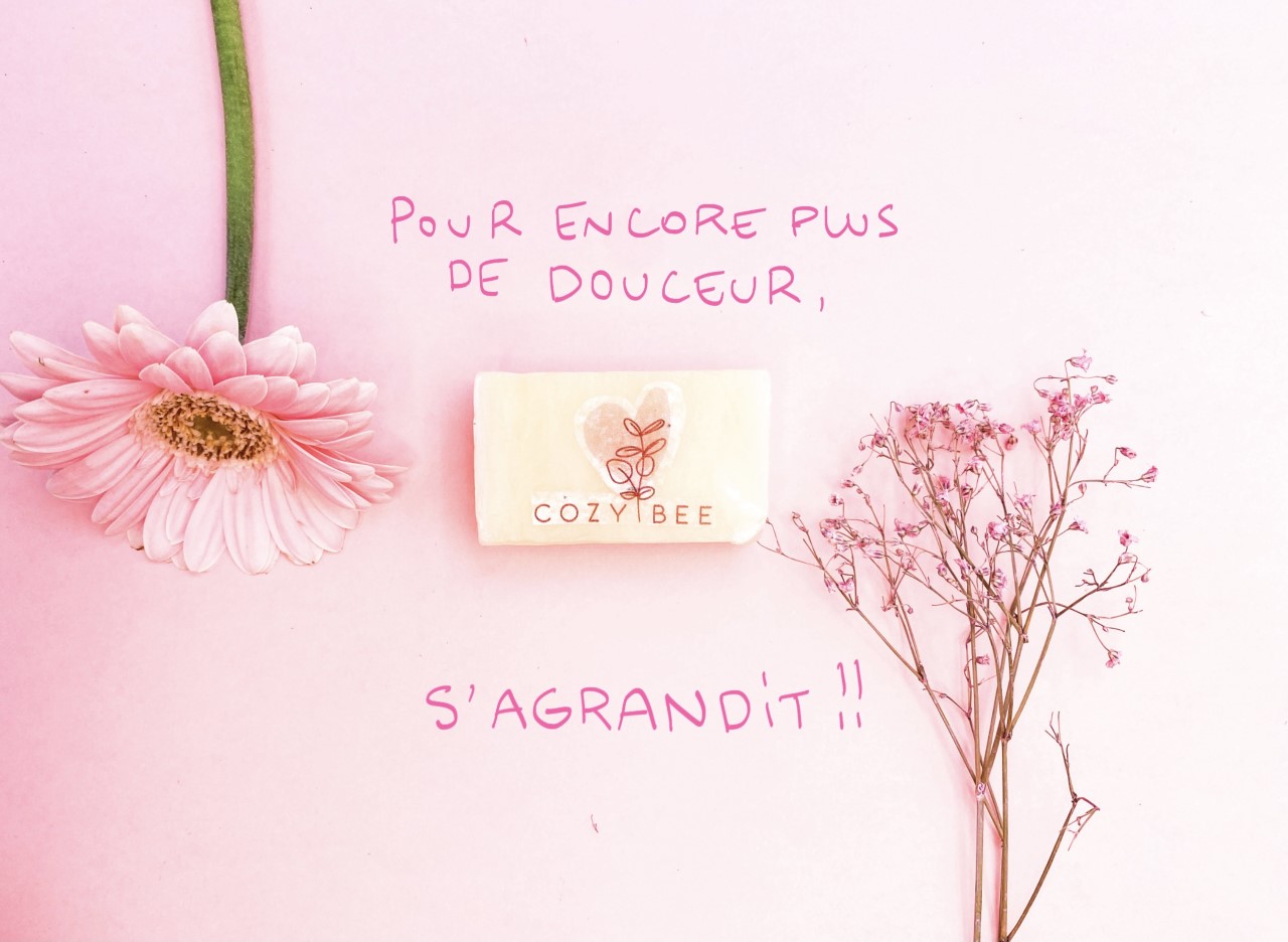 Crowd’in | COZY BEE 2.0